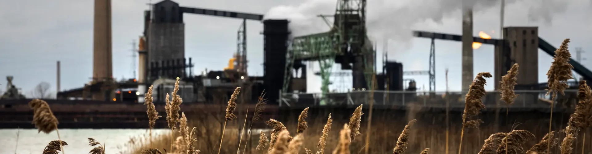 New York Times: UW-NUPH co-lead Catherine Febria quoted in article ...